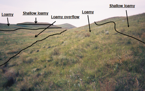 Ecological Sites of North Dakota | NDSU Agriculture
